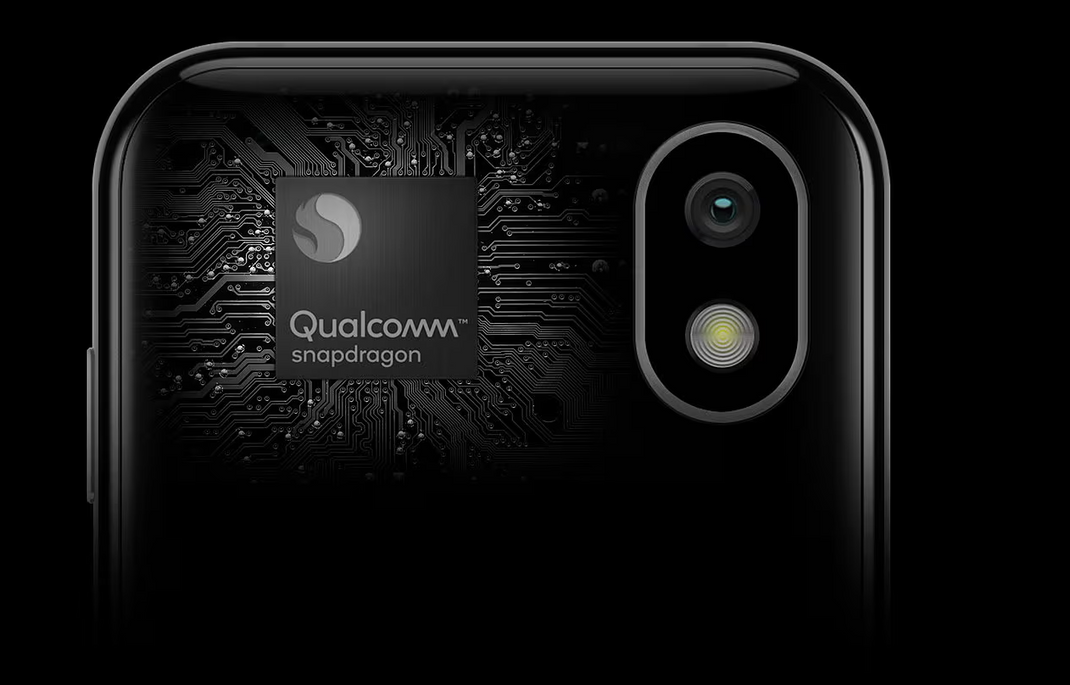 Palm | Live in the moment.