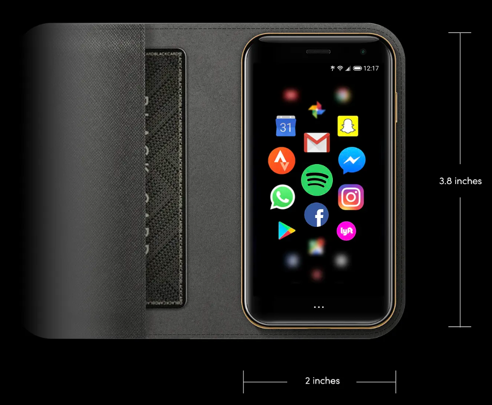 Palm | Live in the moment.